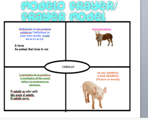 Using the Frayer Model to learn L2
